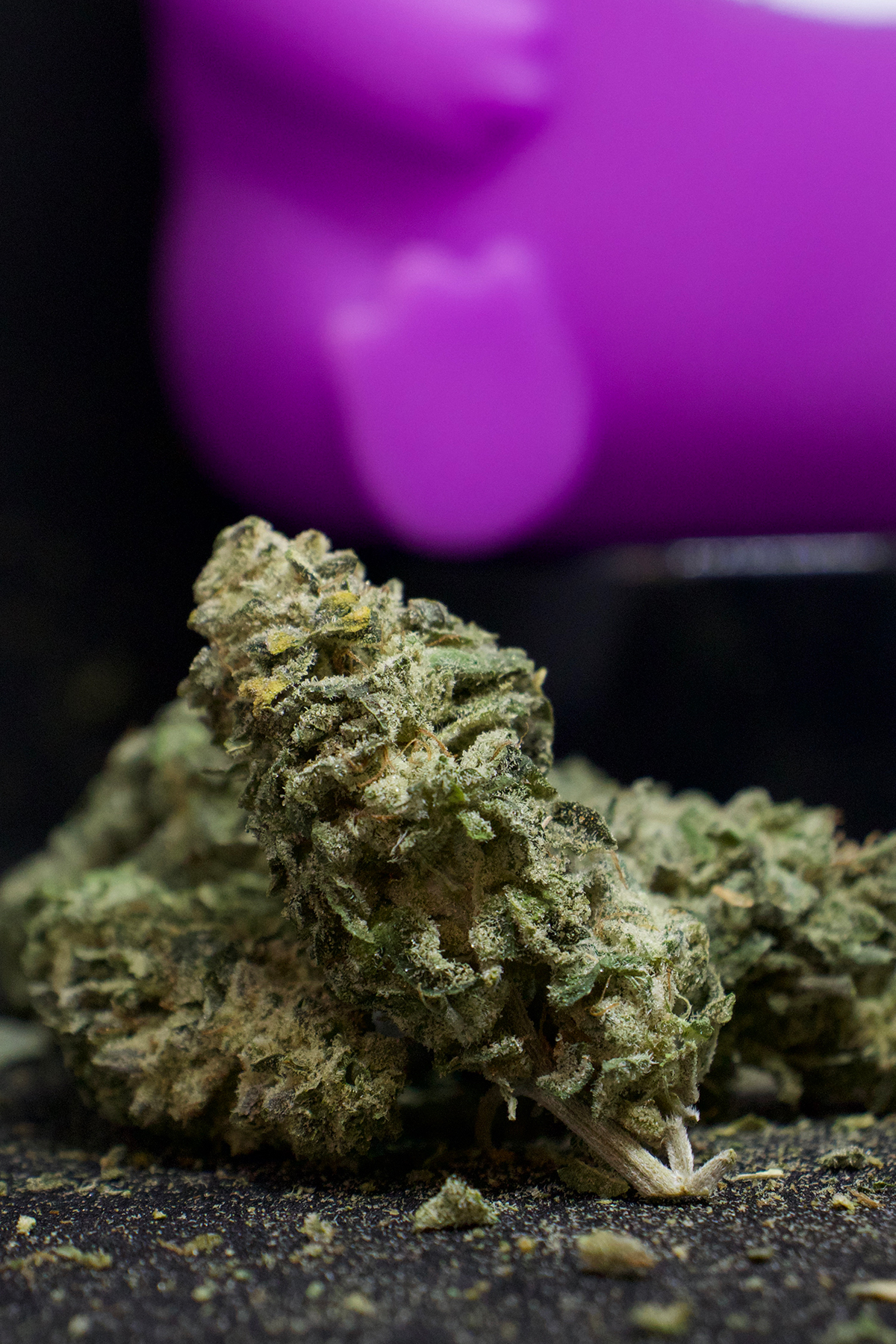 Truffle Monkey Cannasupreme